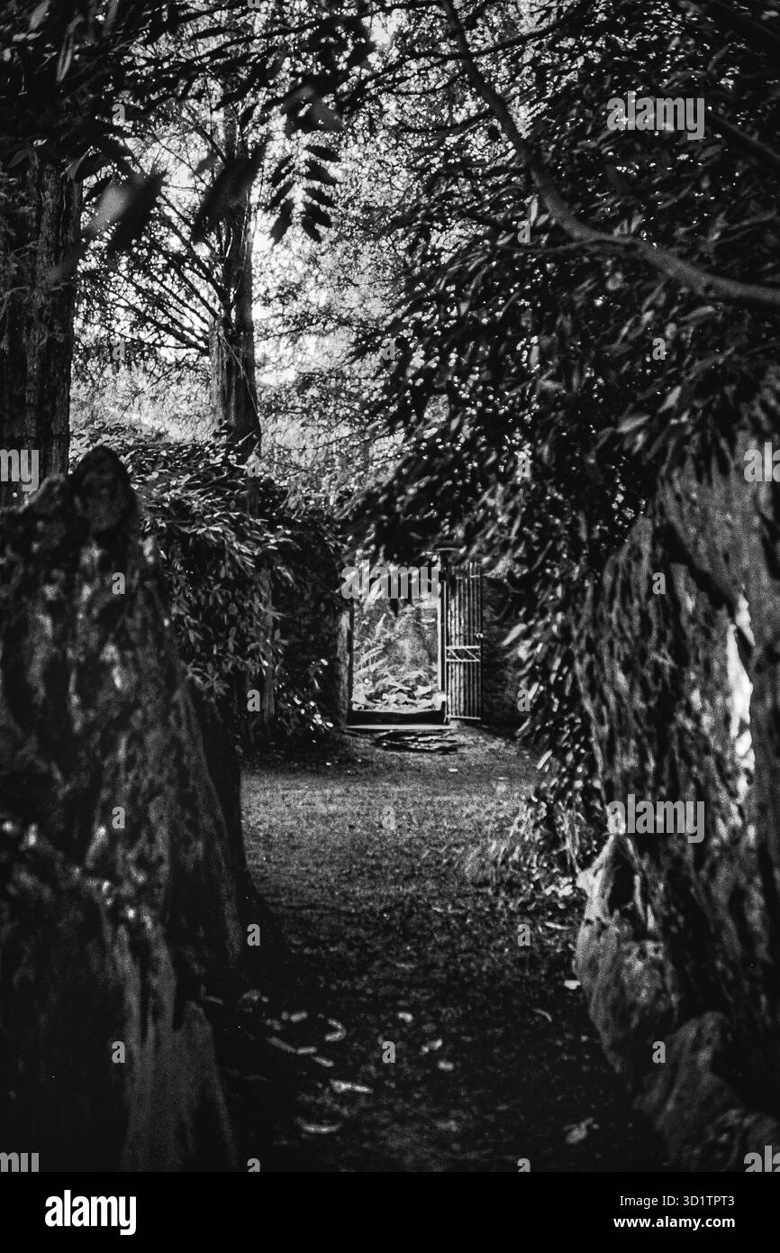 Vintage nature photography Black and White Stock Photos & Images - Alamy