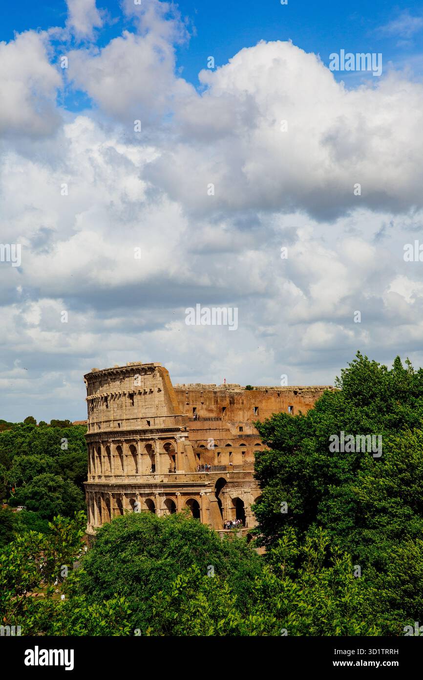 Colosseum framed by trees hi-res stock photography and images - Alamy