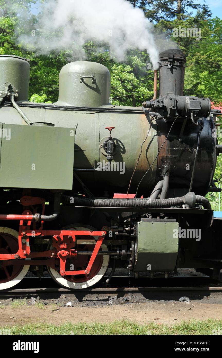 Side view of a steam locomotive of the Bieszczady Forest Railway ...
