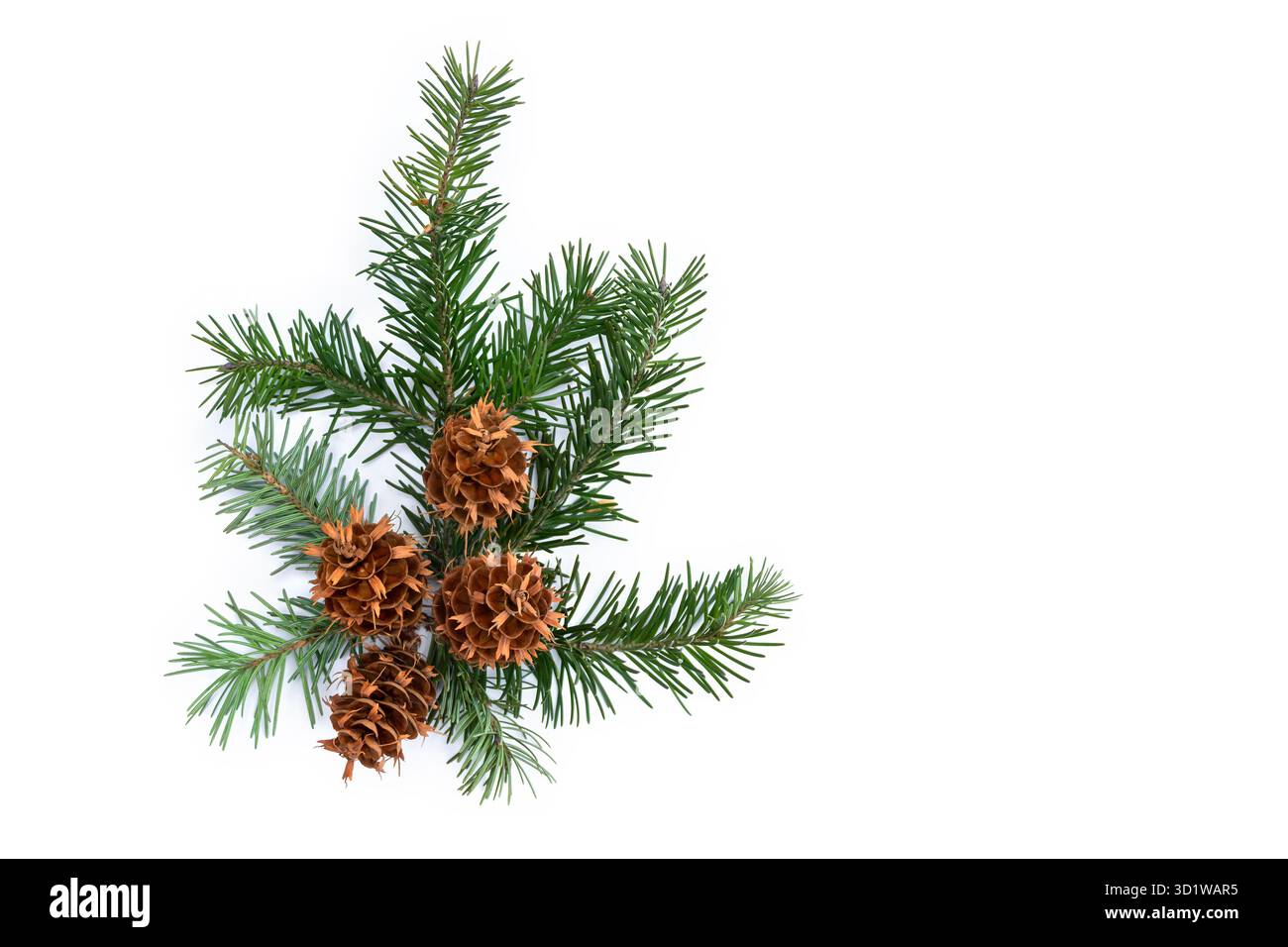 Flat lay frame cones Cut Out Stock Images & Pictures - Alamy