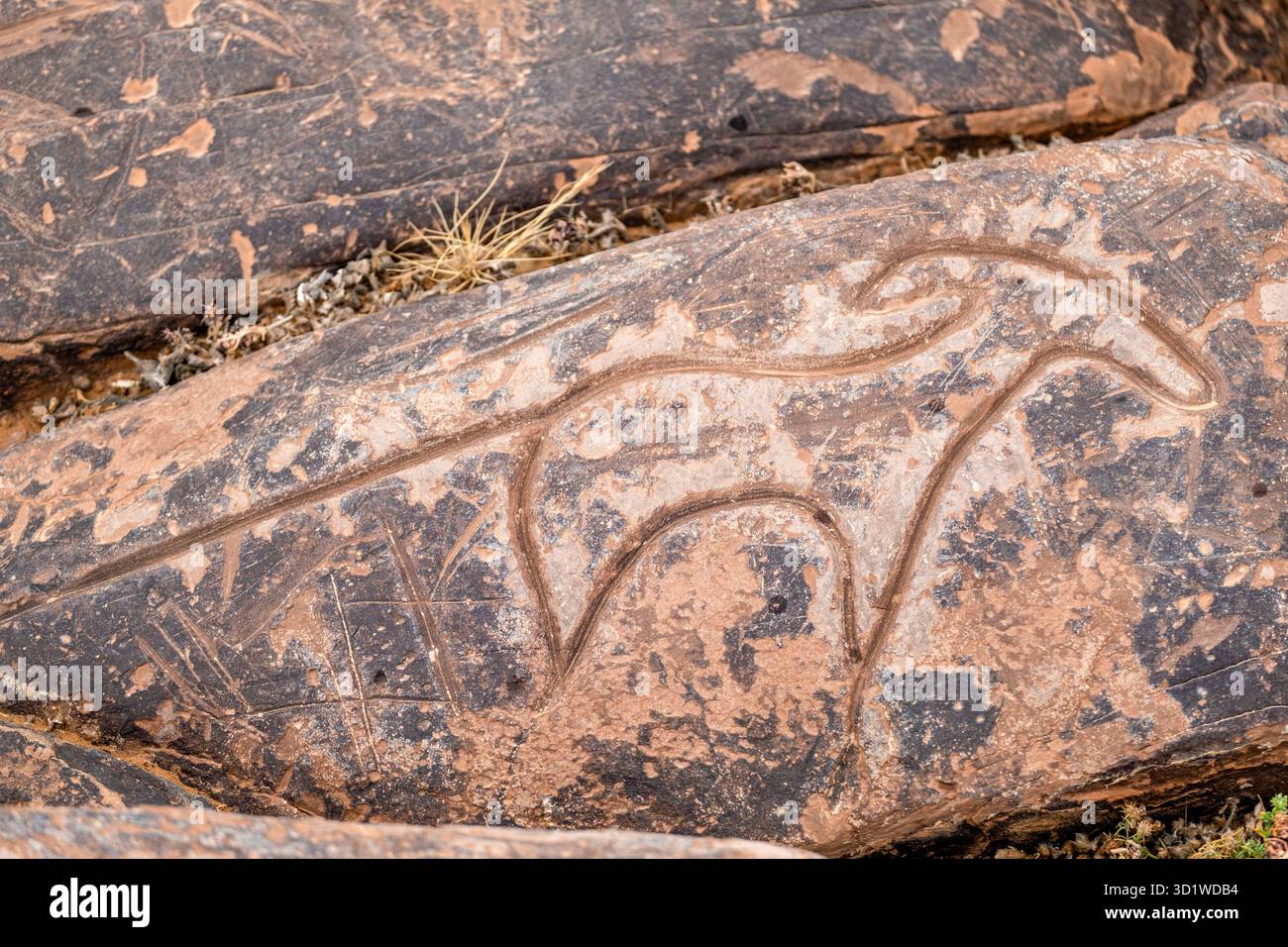 Petroglyph, prehistoric ungulate, Aït Ouazik rock deposit, late ...