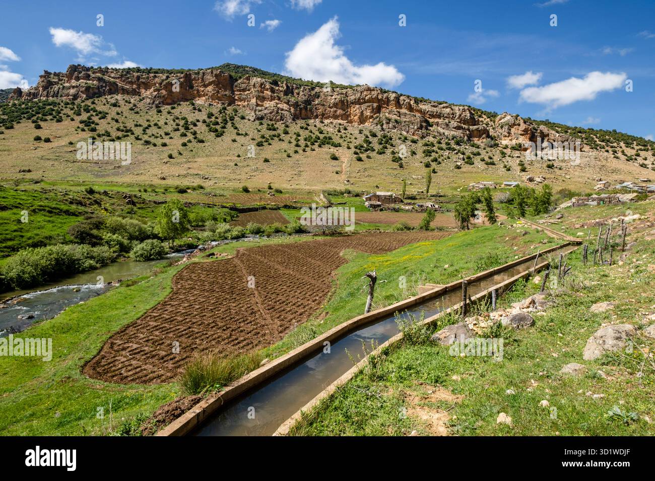 ploughed field, Ifran national park, Middle Atlas, Morocco, Africa ...