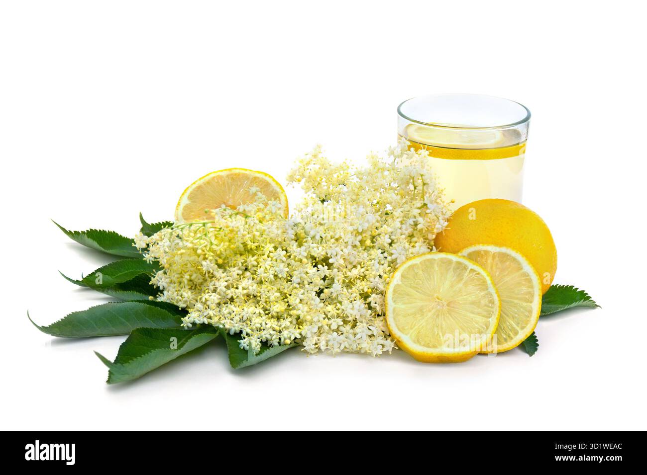 Lemon tree in blossom Cut Out Stock Images & Pictures - Alamy