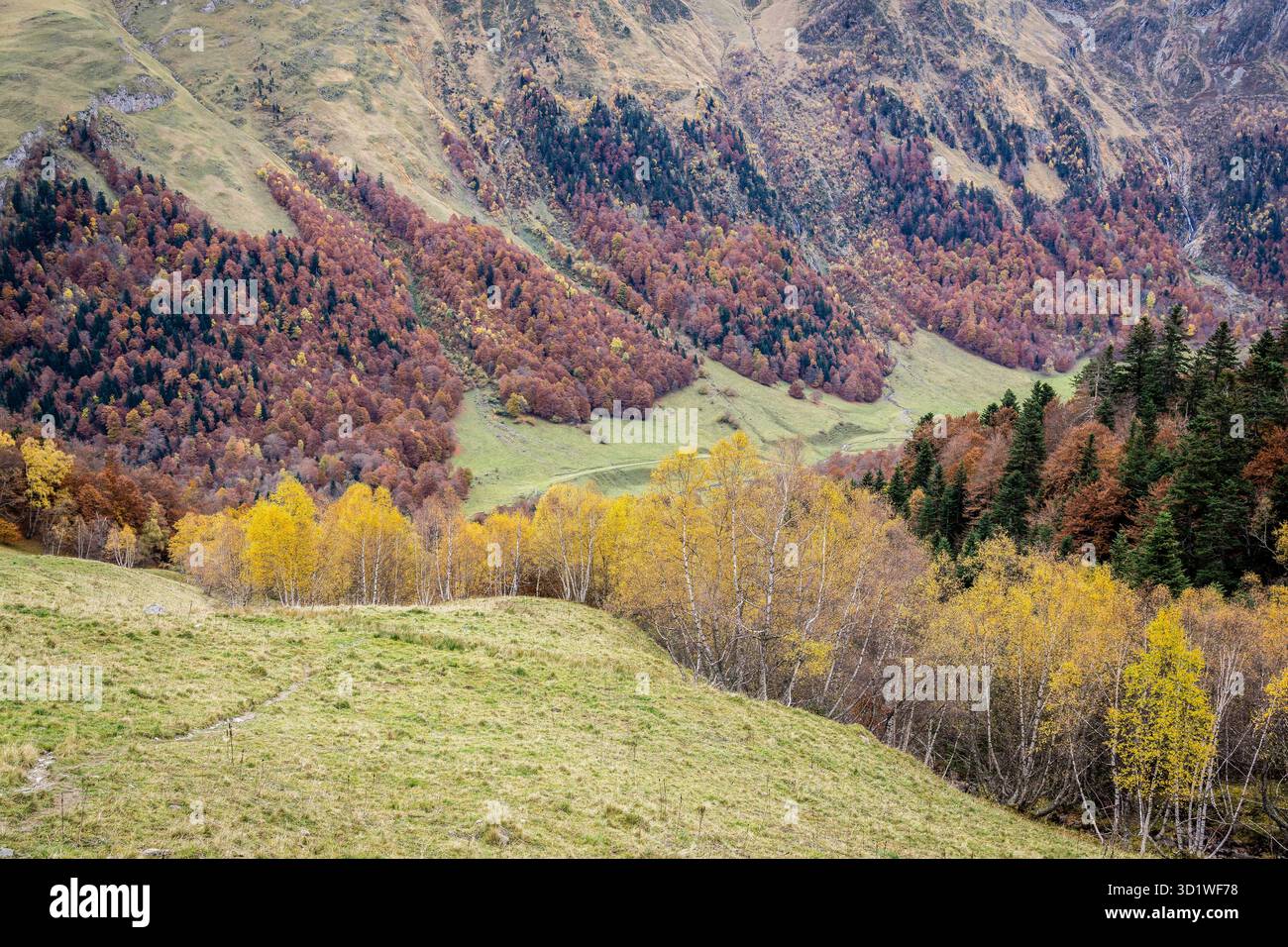 Lin tal hi-res stock photography and images - Alamy