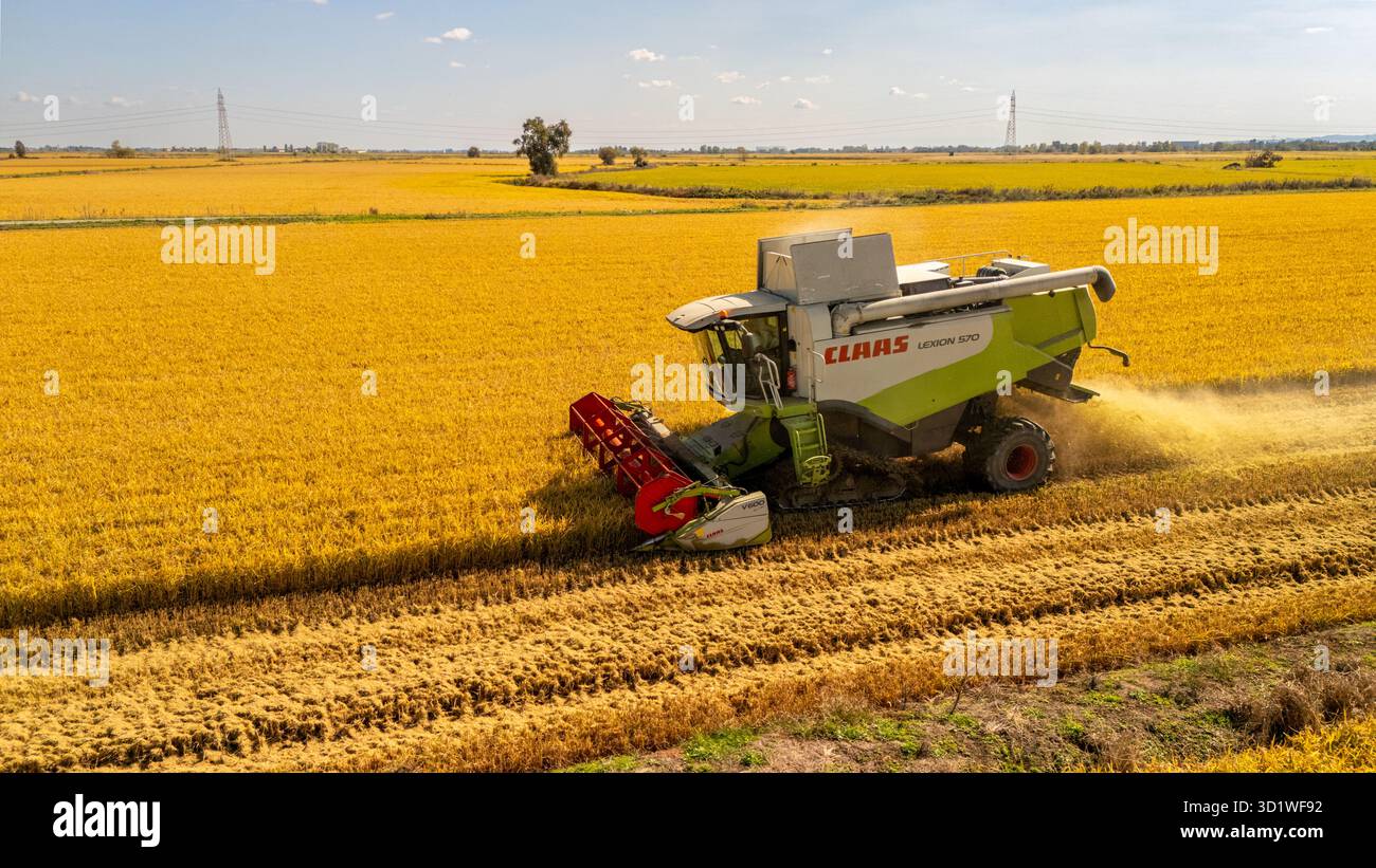 Rice field in front modern hi-res stock photography and images - Alamy