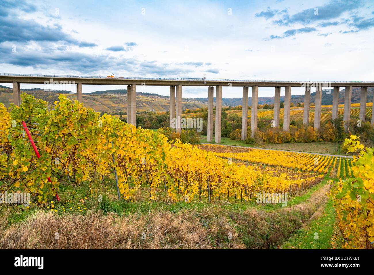 Moselle Viaduct Longuich, Vineyard In Mosel Valley, Autumn Season ...