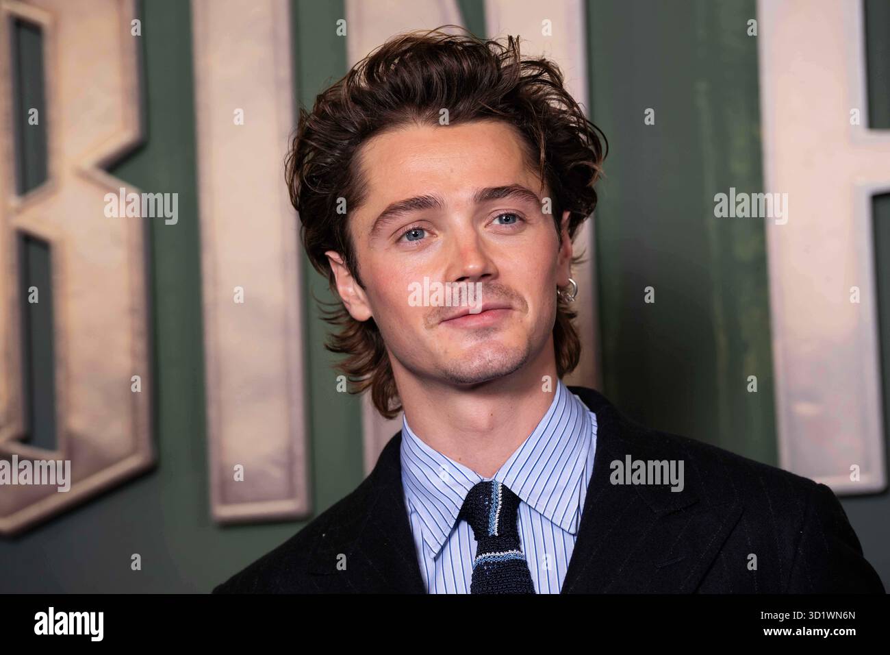 Henry Rowley poses upon arrival at the premiere of the series "Robin ...