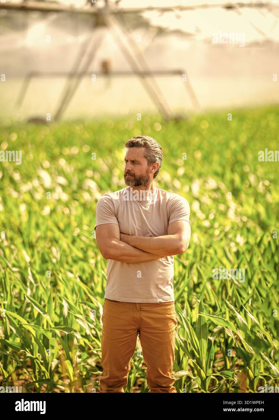 Agriculture and farming. Man at irrigation system watering agricultural ...