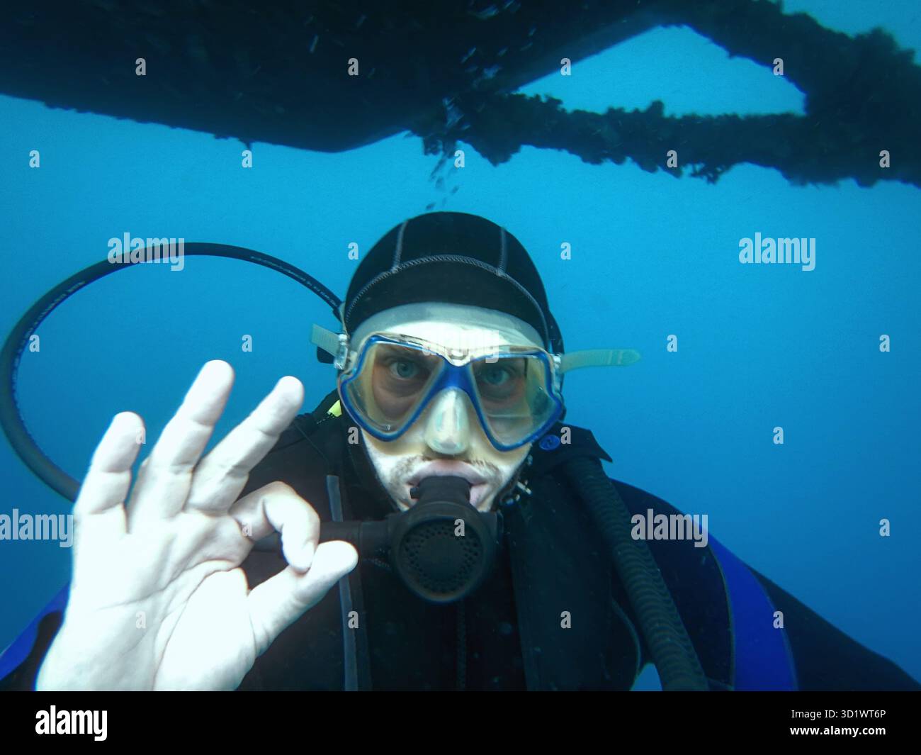 Scuba diver underwater showing OK signal Stock Photo - Alamy