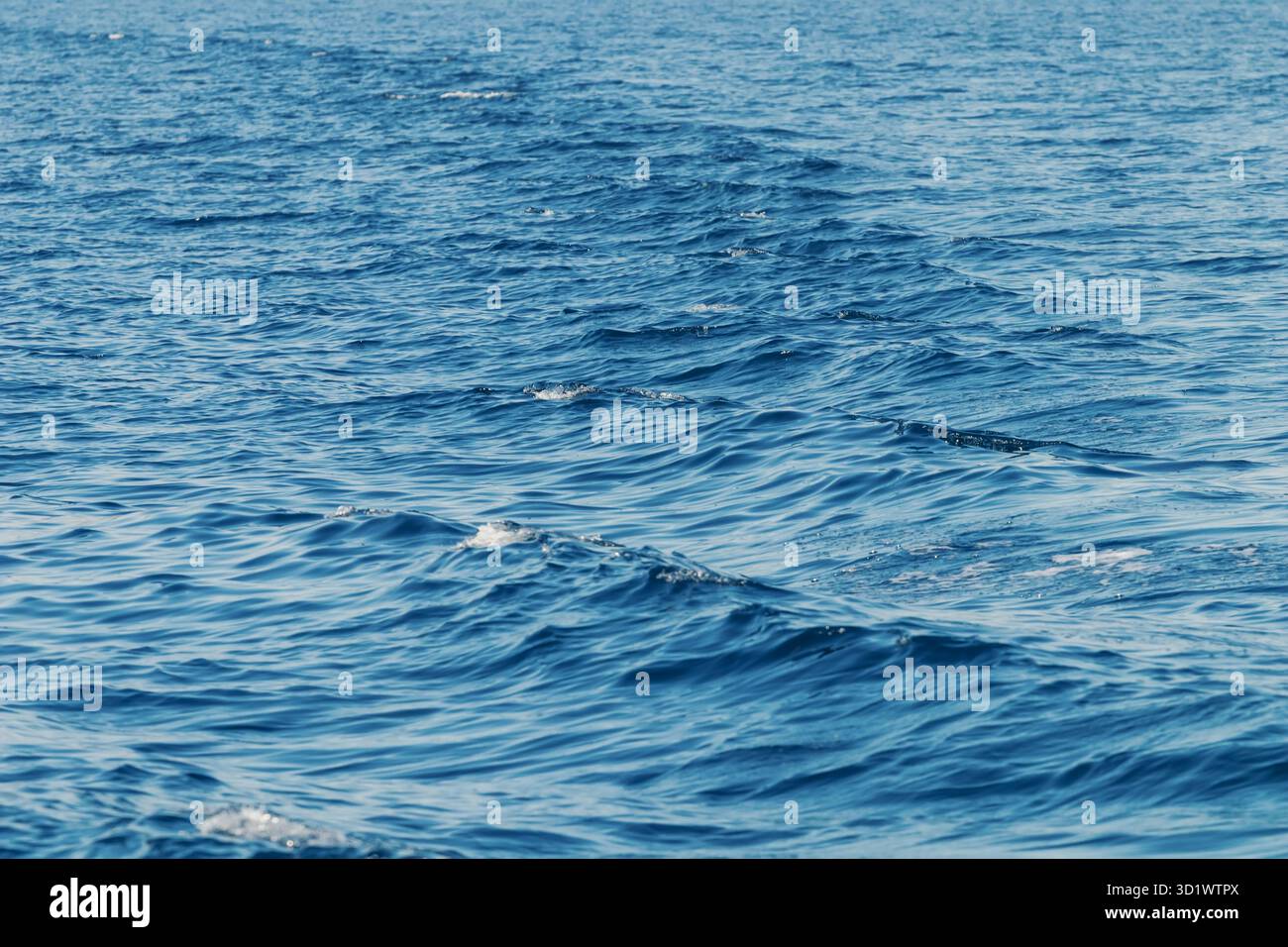 Waves behind a boat, Patterns of waves in water Stock Photo - Alamy