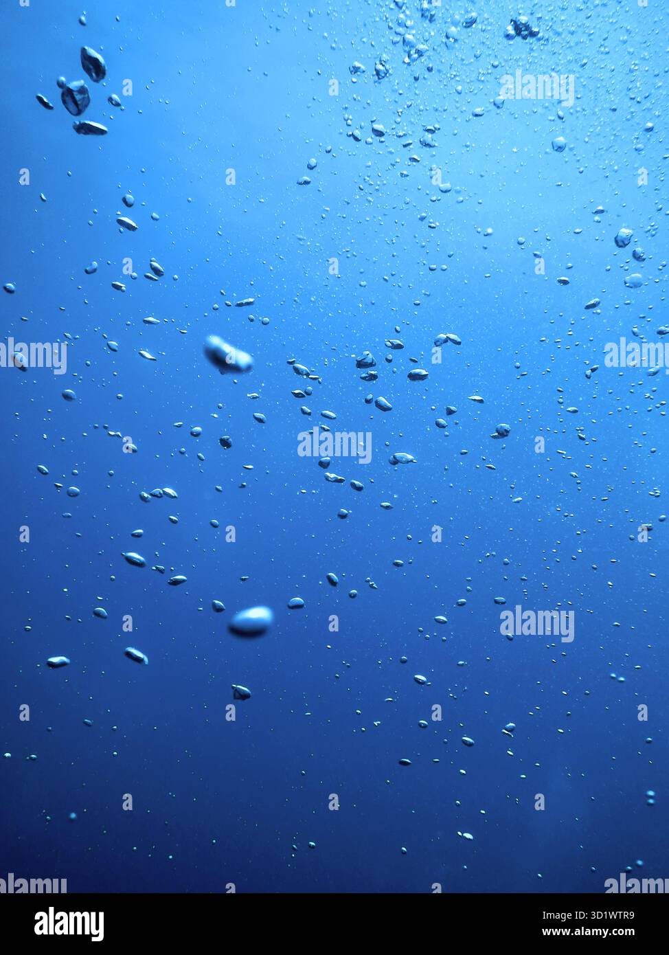 Serene underwater environment hi-res stock photography and images - Alamy