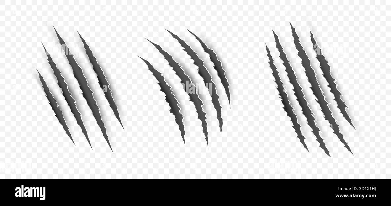 Scratch claw mark tiger bear paw icon. Animal lion slash claw vector ...