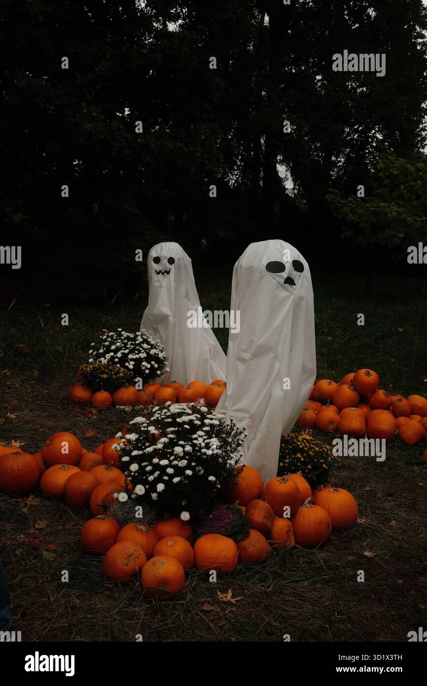 Fall sheet display hi-res stock photography and images - Alamy