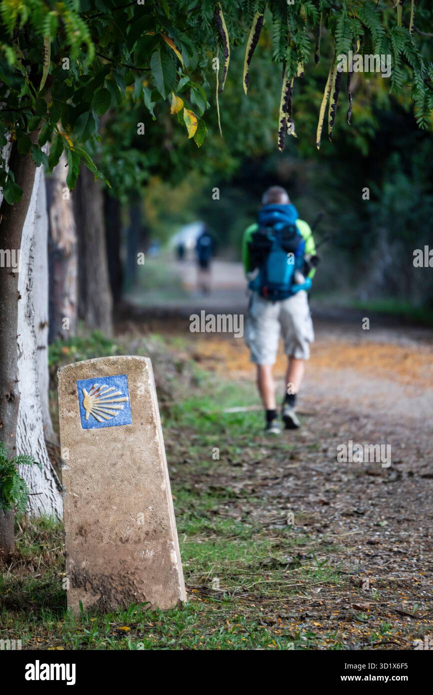 Pilgrims walking camino de hi-res stock photography and images - Alamy