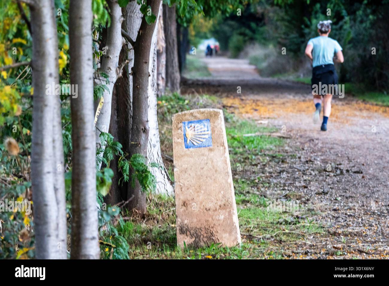 Pilgrims trekking camino de hi-res stock photography and images - Alamy