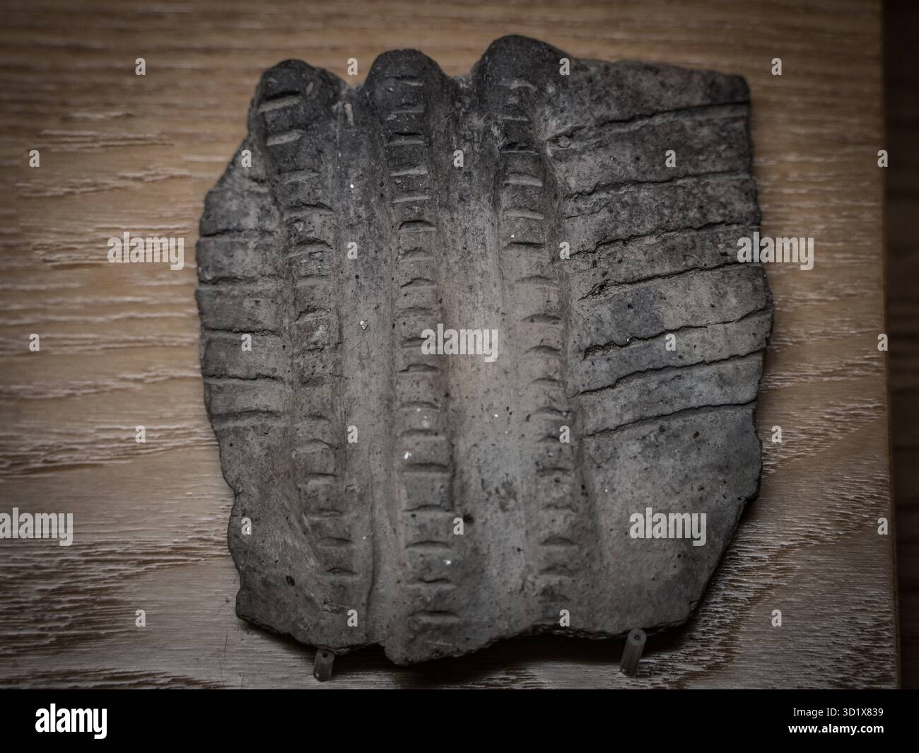 Neolithic pottery hi-res stock photography and images - Alamy