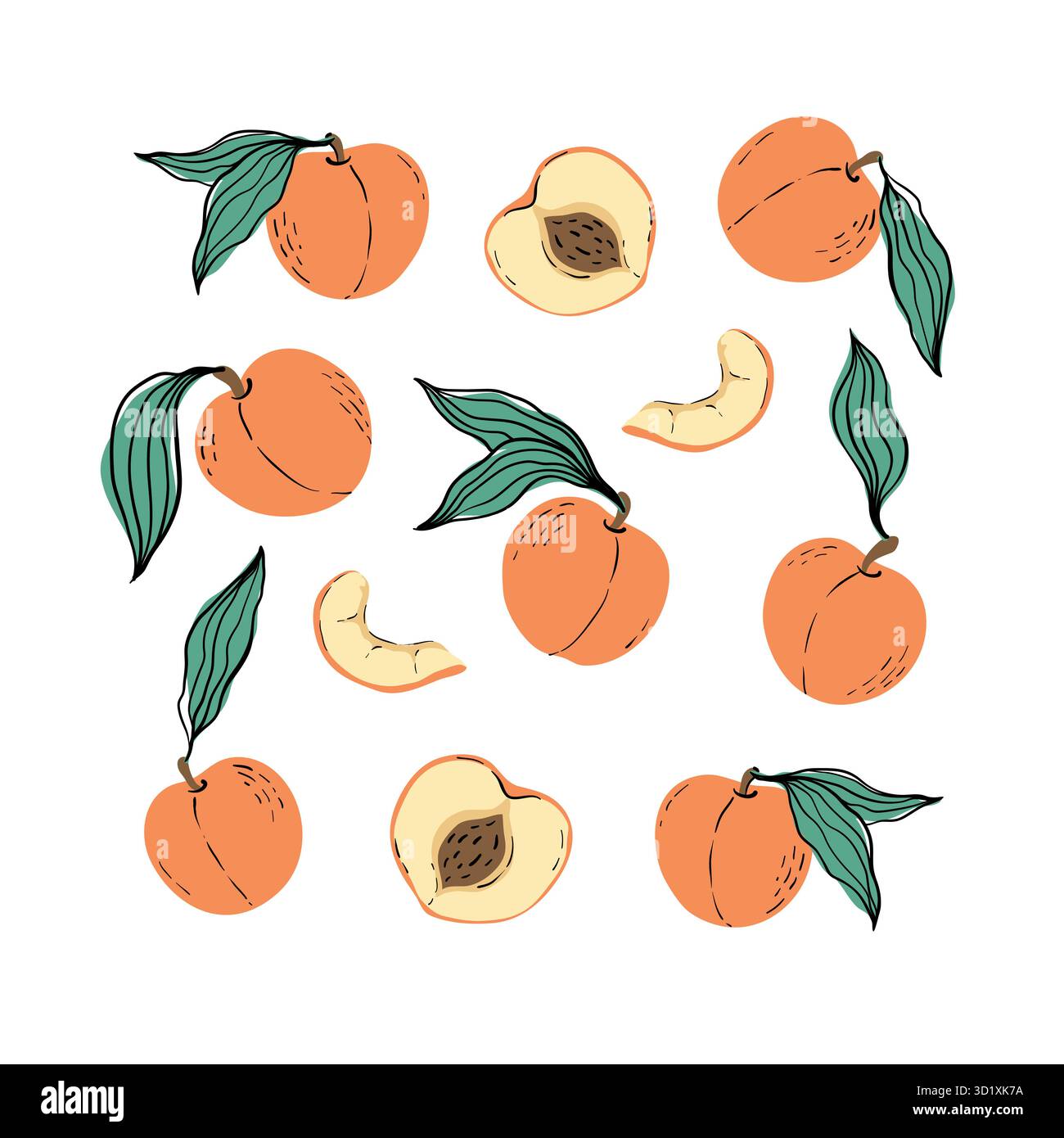 Peach on tree fruit Stock Vector Images - Alamy