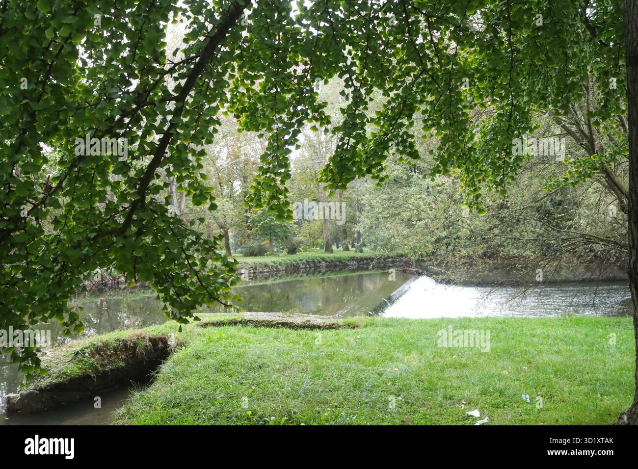 Milan, Italy. 29th Oct, 2025. Milan (Italy). 10/29/2025 - Nature - Park ...
