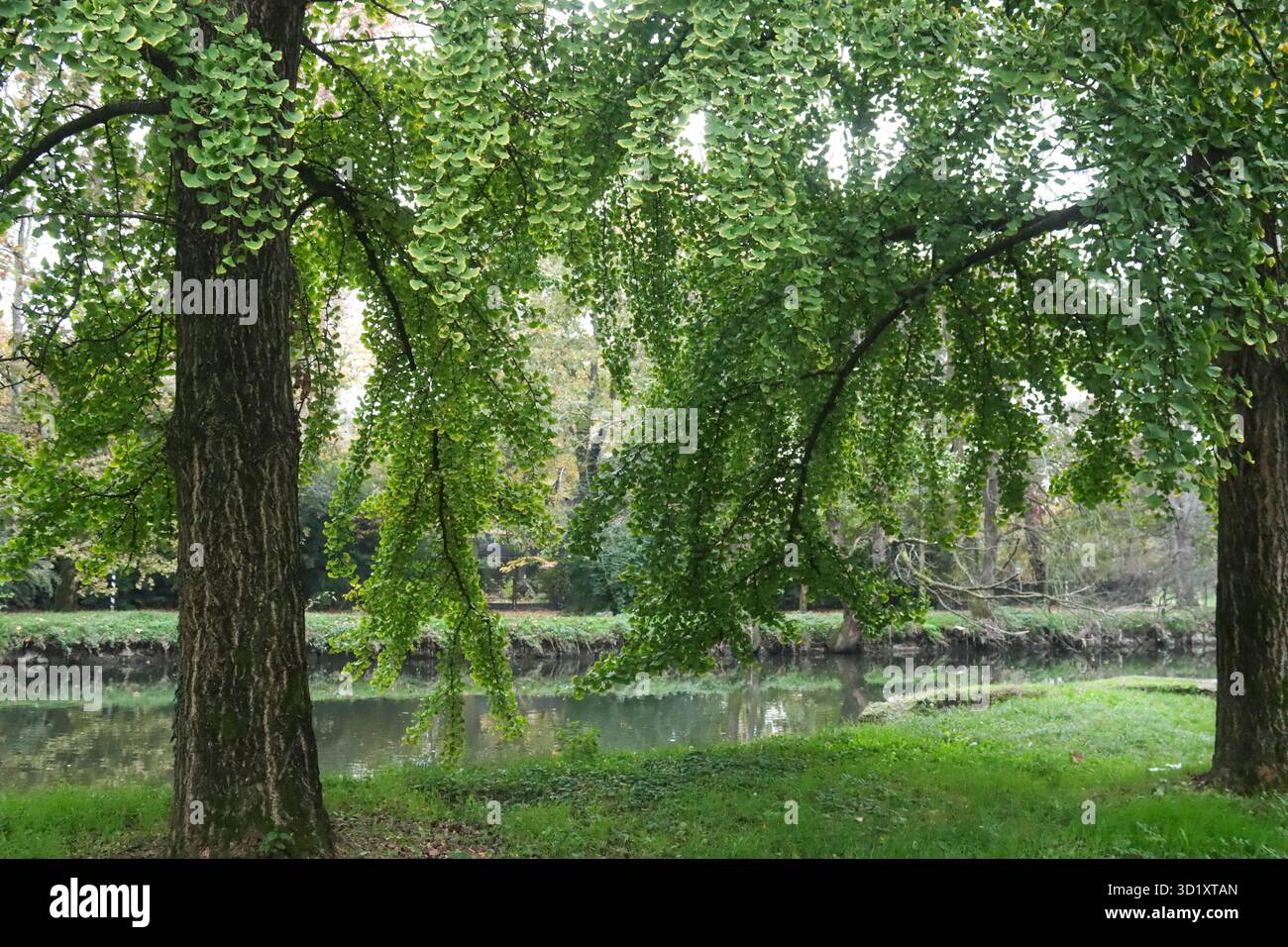 Milan, Italy. 29th Oct, 2025. Milan (Italy). 10/29/2025 - Nature - Park ...