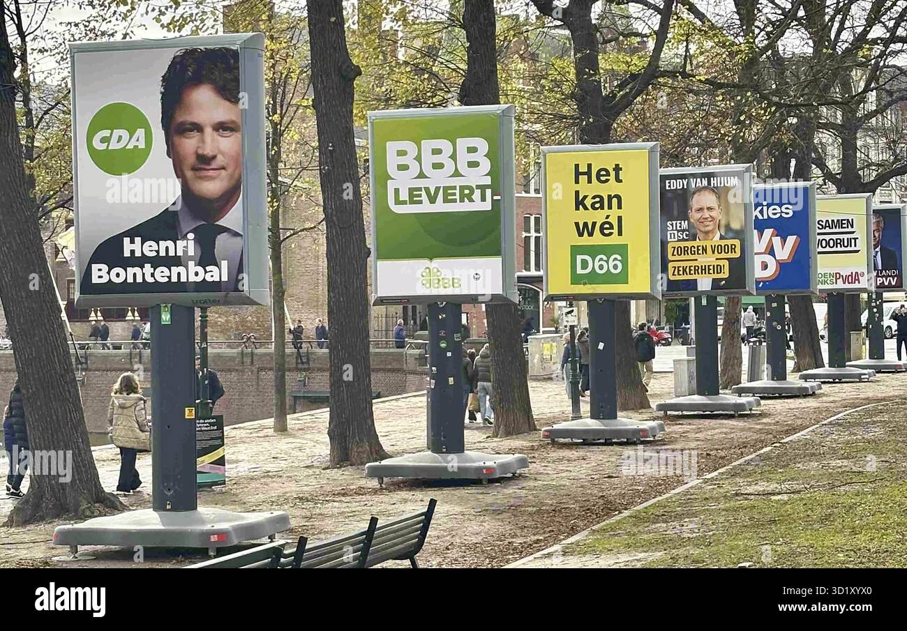 A photo shows campaign posters of various political parties for the ...