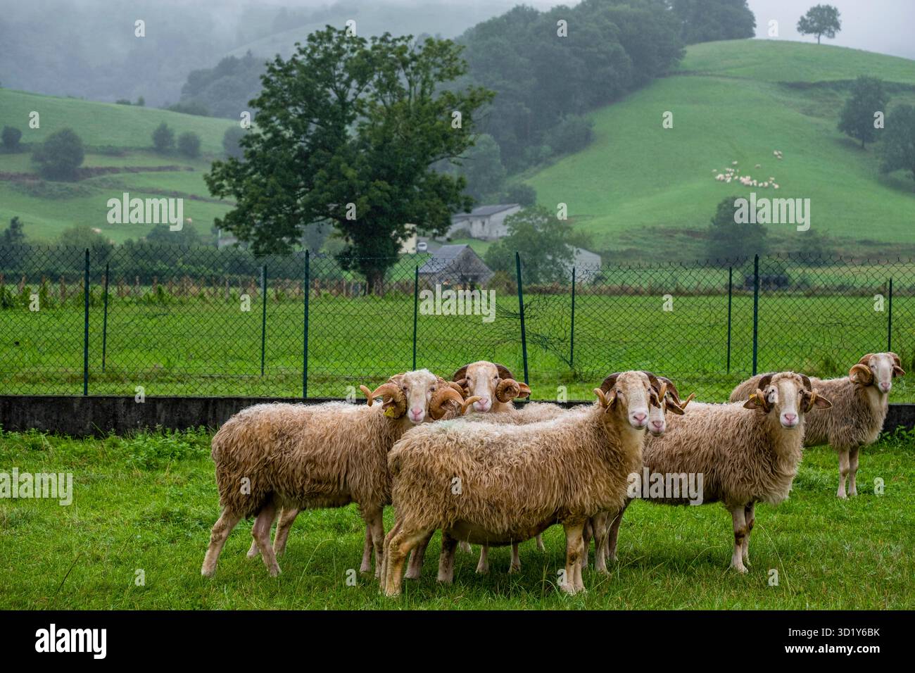World lax hi-res stock photography and images - Alamy