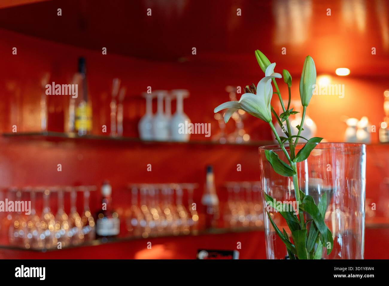 A fresh flower arrangement sits gracefully in a tall vase at a stylish ...