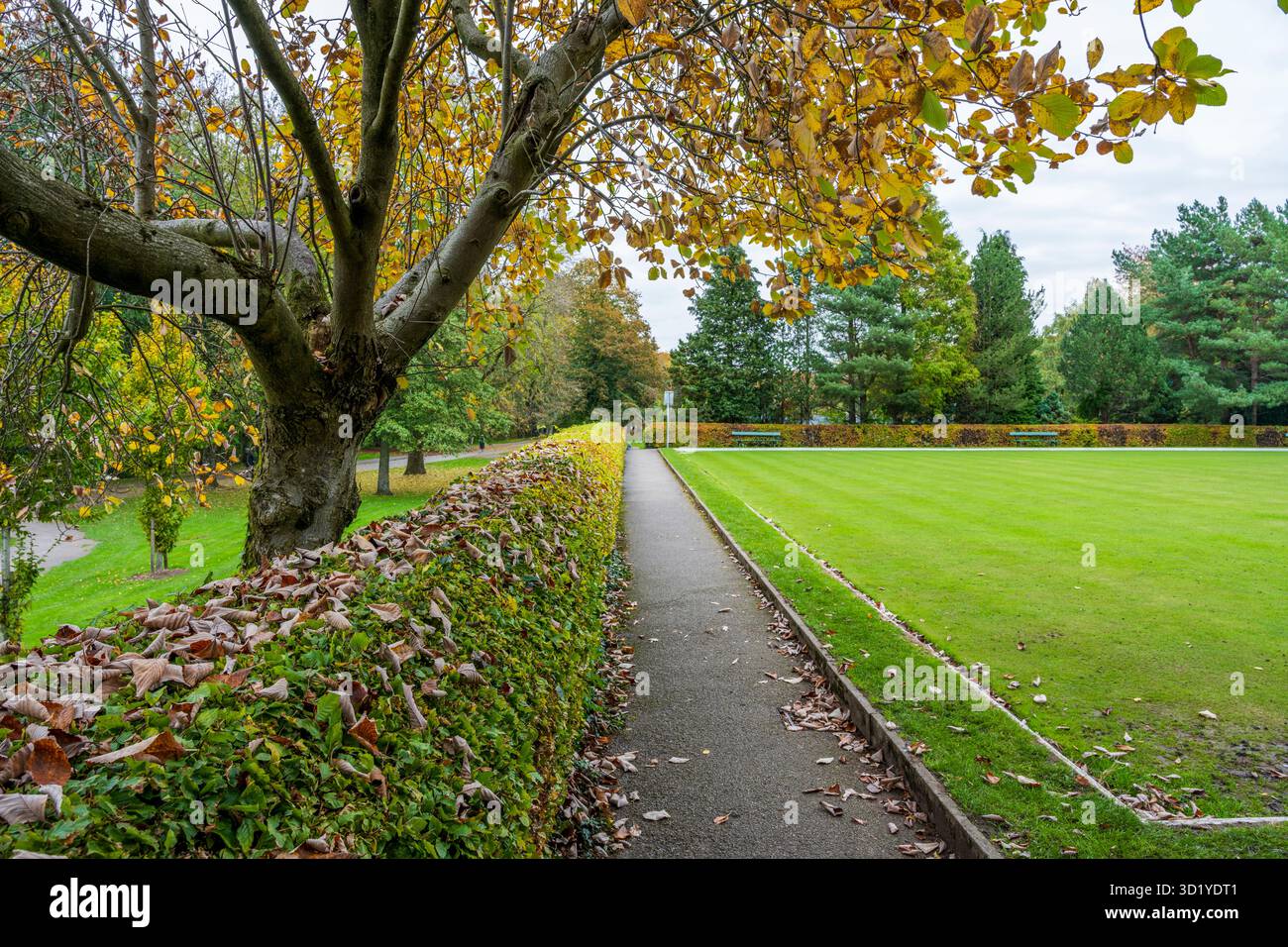 Chadderton Hall Park in Autumn Colours Stock Photo - Alamy