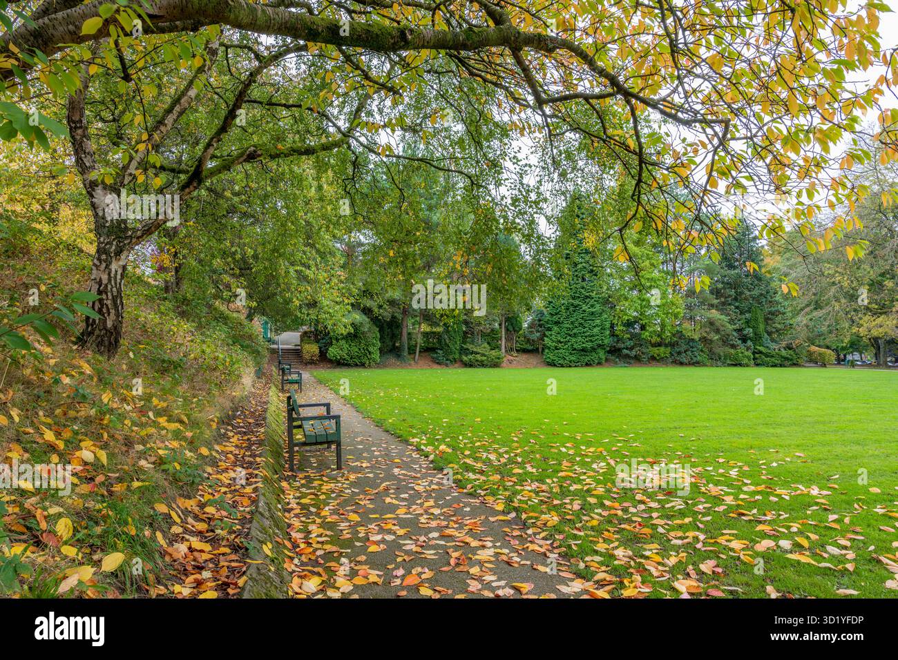 Chadderton Hall Park in Autumn Colours Stock Photo - Alamy