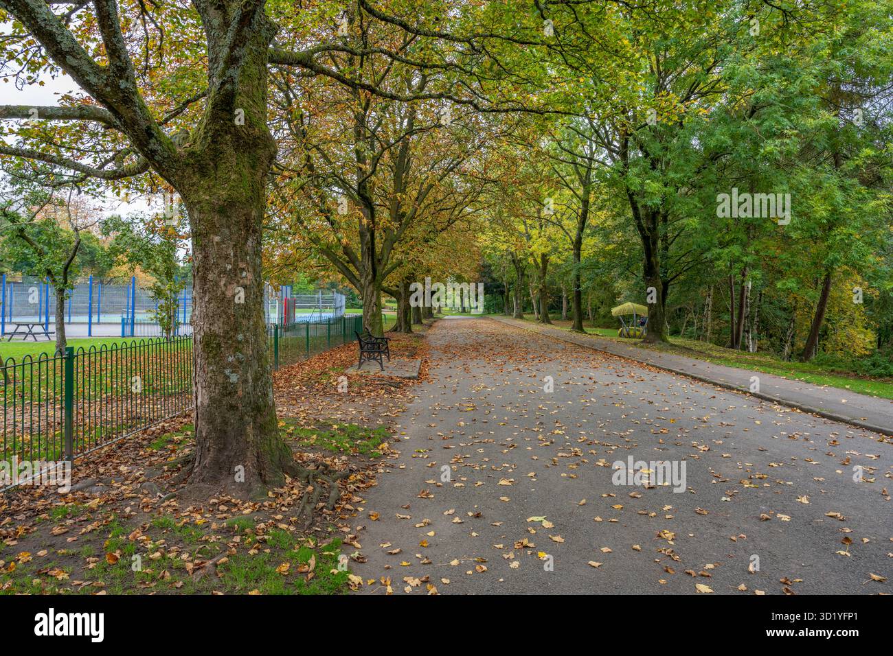 Chadderton Hall Park in Autumn Colours Stock Photo - Alamy
