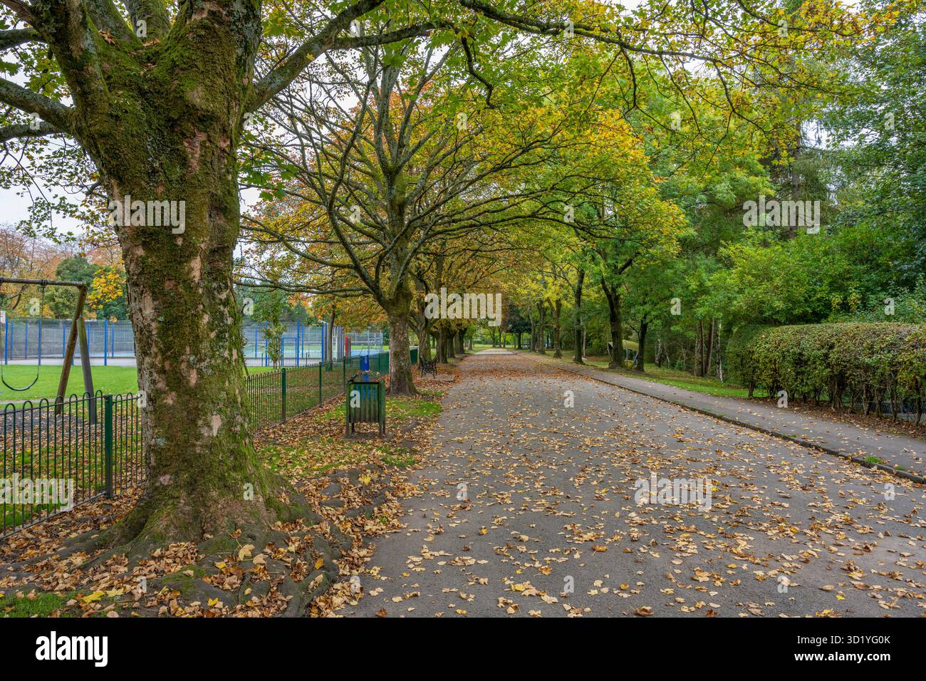 Chadderton Hall Park in Autumn Colours Stock Photo - Alamy