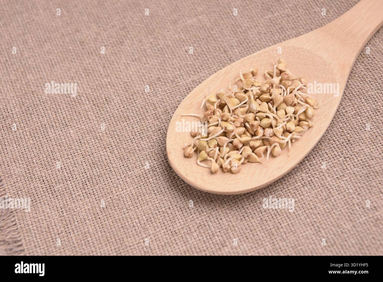 Organic sprouted buckwheat seeds hi-res stock photography and images ...