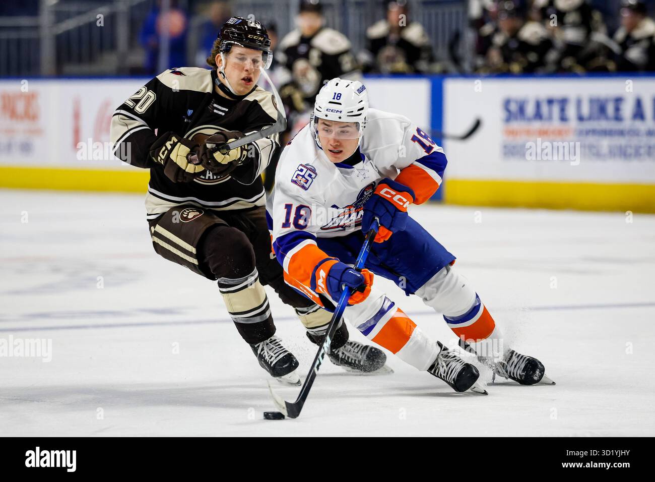 October 29, 2025: Bridgeport Islanders forward Matthew Maggio (18 ...