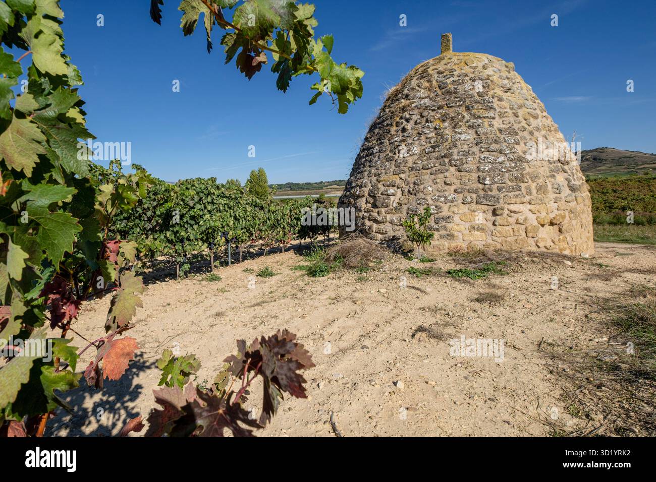 Weinbergswachterhauschen hi-res stock photography and images - Alamy