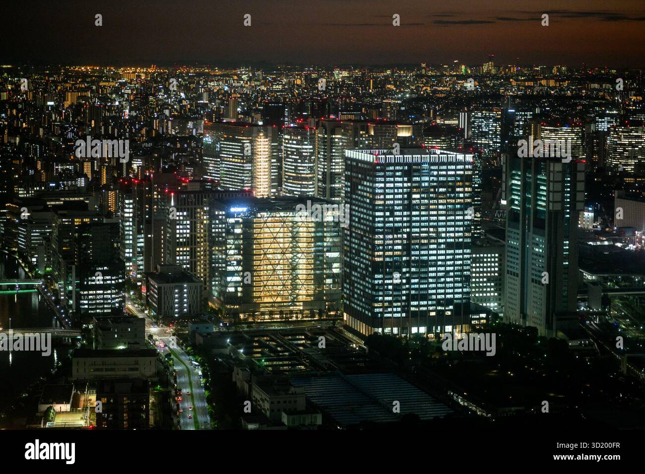 Tokyo, Japan is seen from a U.S. Nighthawk helicopter, Monday, October ...