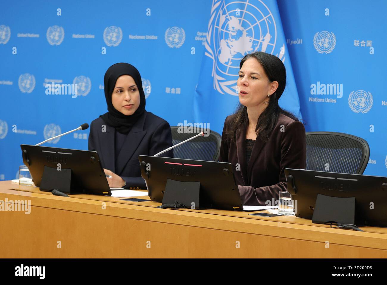 UNITED NATIONS, NEW YORK â OCTOBER 29, 2025: Alya Ahmed Saif Al-Thani ...