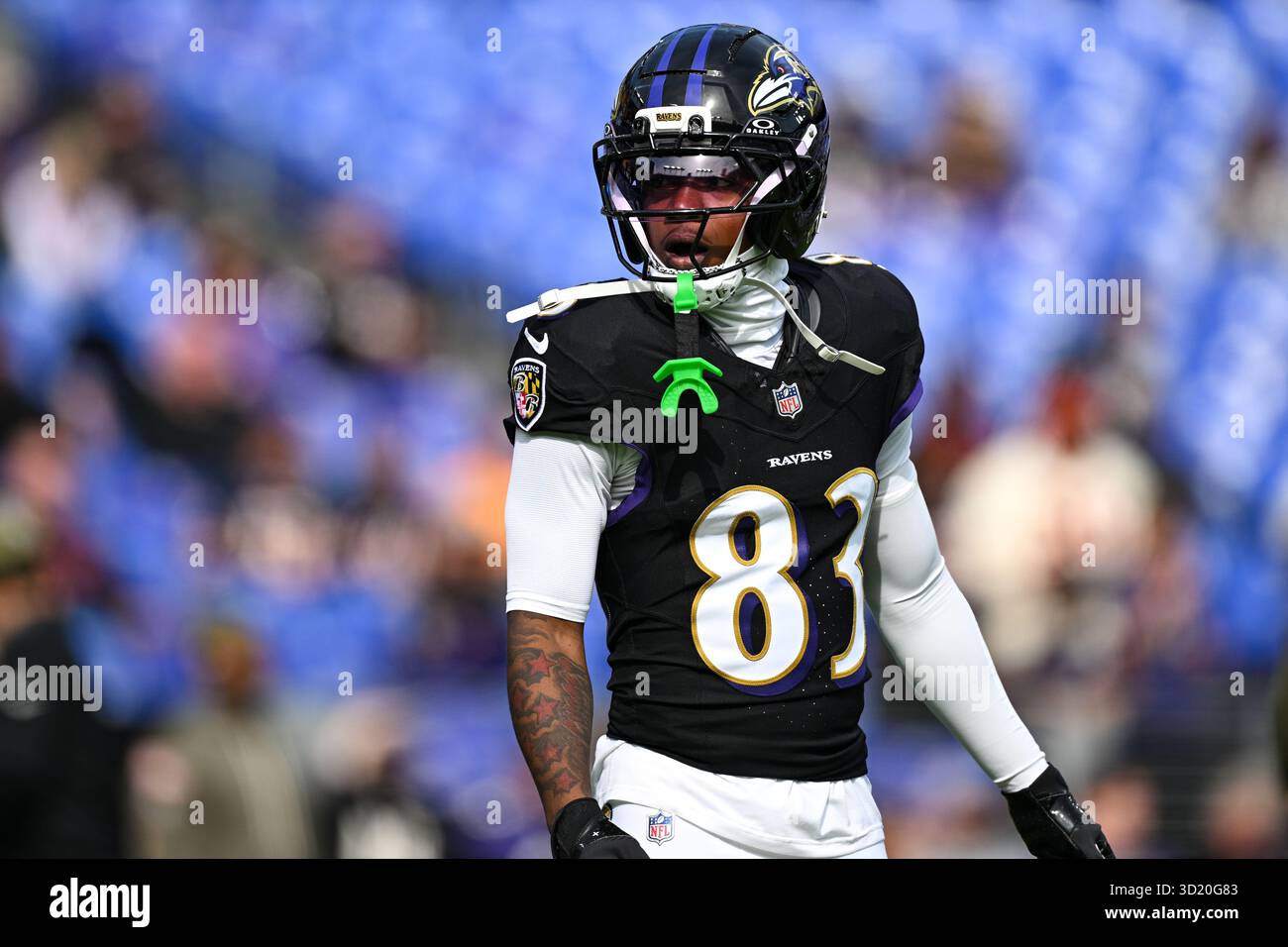 Baltimore Ravens wide receiver LaJohntay Wester (83) looks on during ...