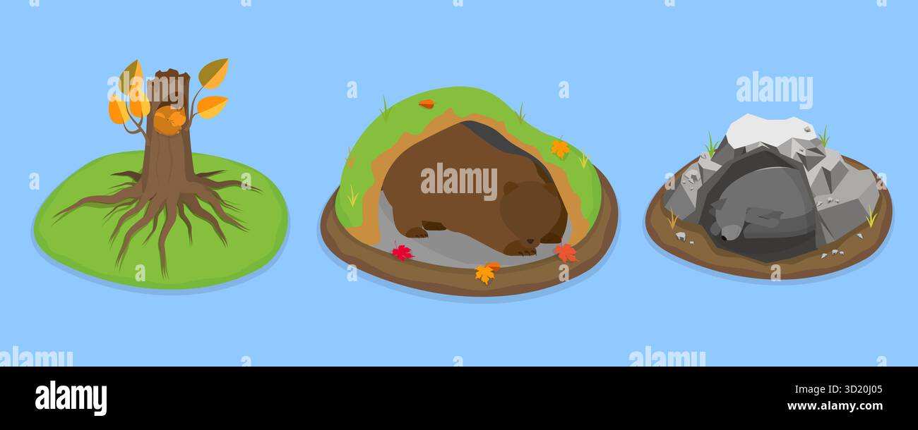 3D Isometric Flat Set of Cartoon Woodland Animals, Wild Animals ...