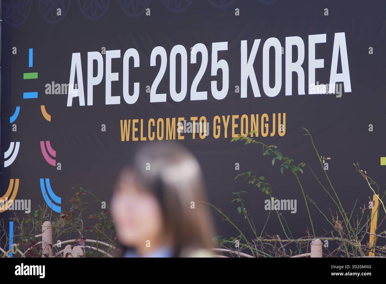 The logo of the Asia-Pacific Economic Cooperation (APEC) is seen in ...