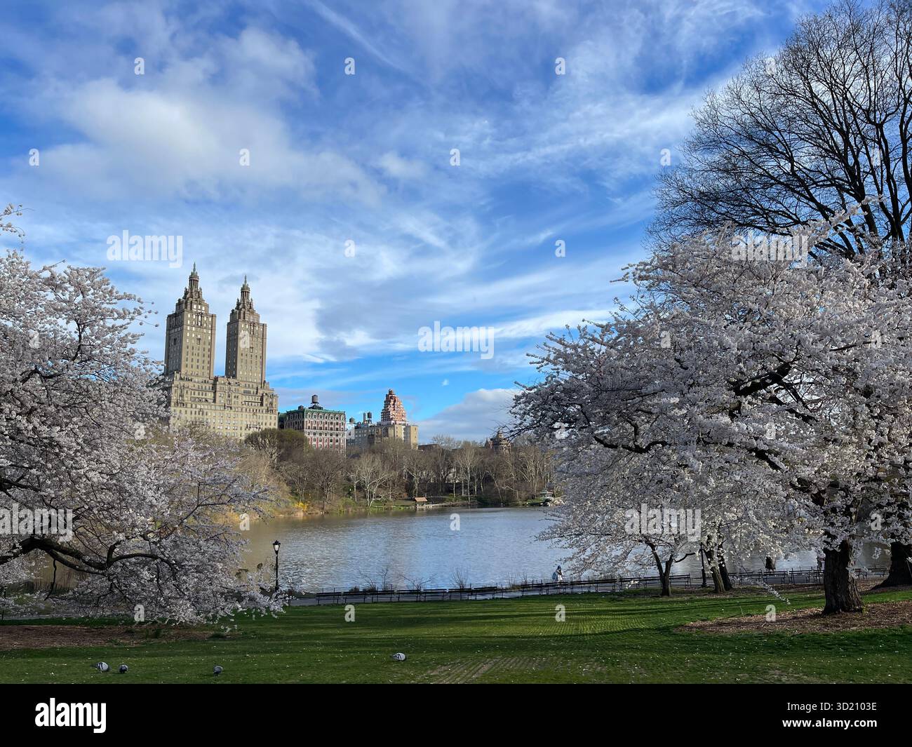 The El Dorado, Central Park NYC — timeless beauty of the twin towers ...