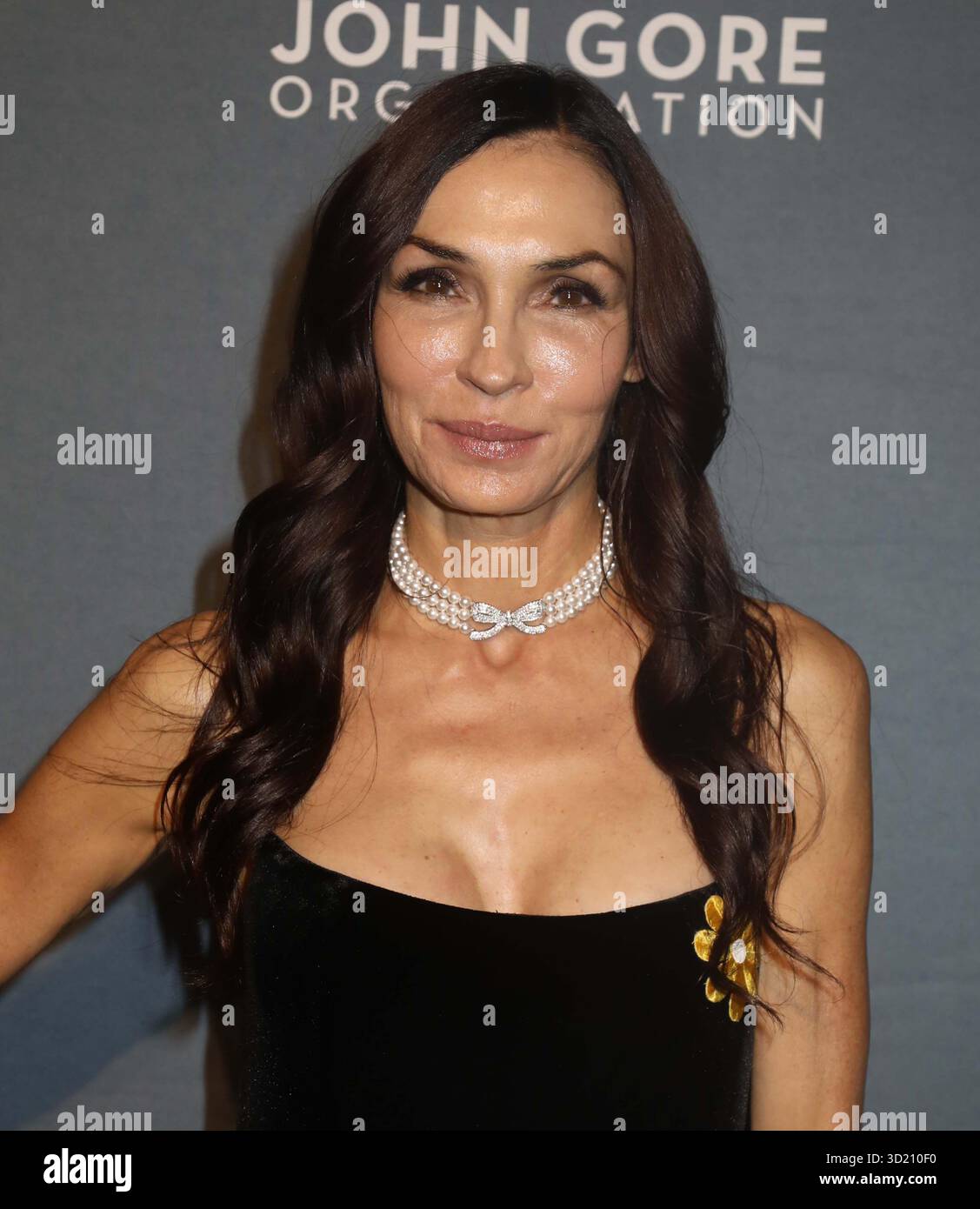 October 29, 2025, New York, New York, USA: Dutch actor/model FAMKE ...