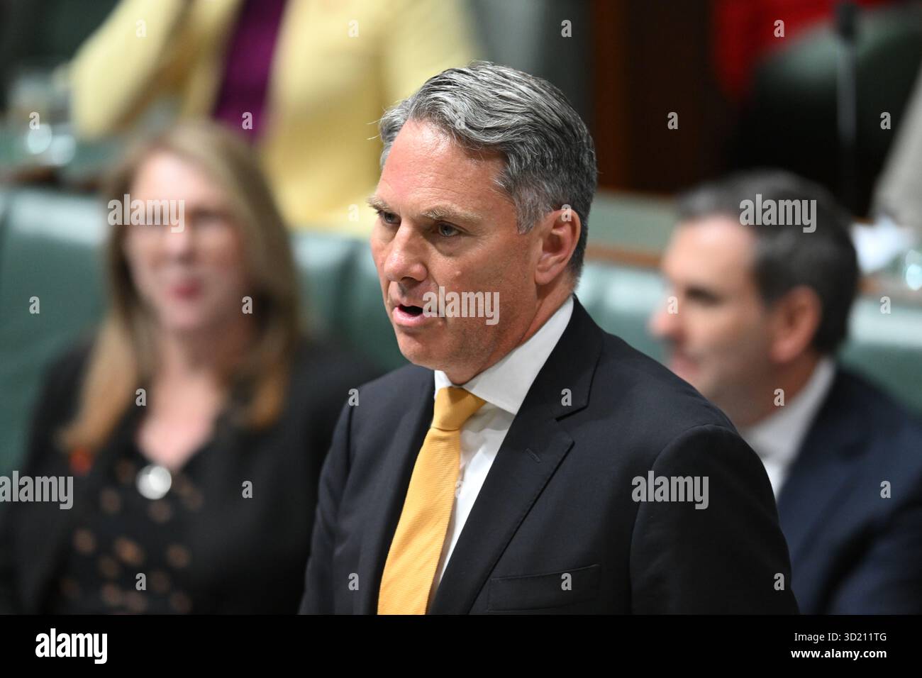 Australian Acting Prime Minister Richard Marles speaks during House of ...