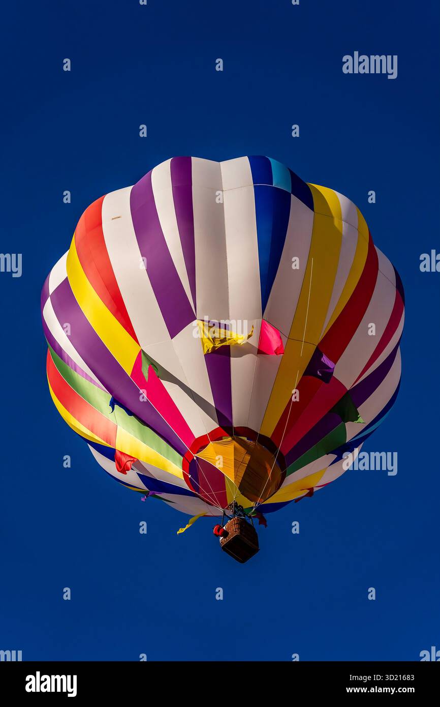 Colorful Balloons Soar into a Brilliant Blue Sky, Creating a Stunning ...