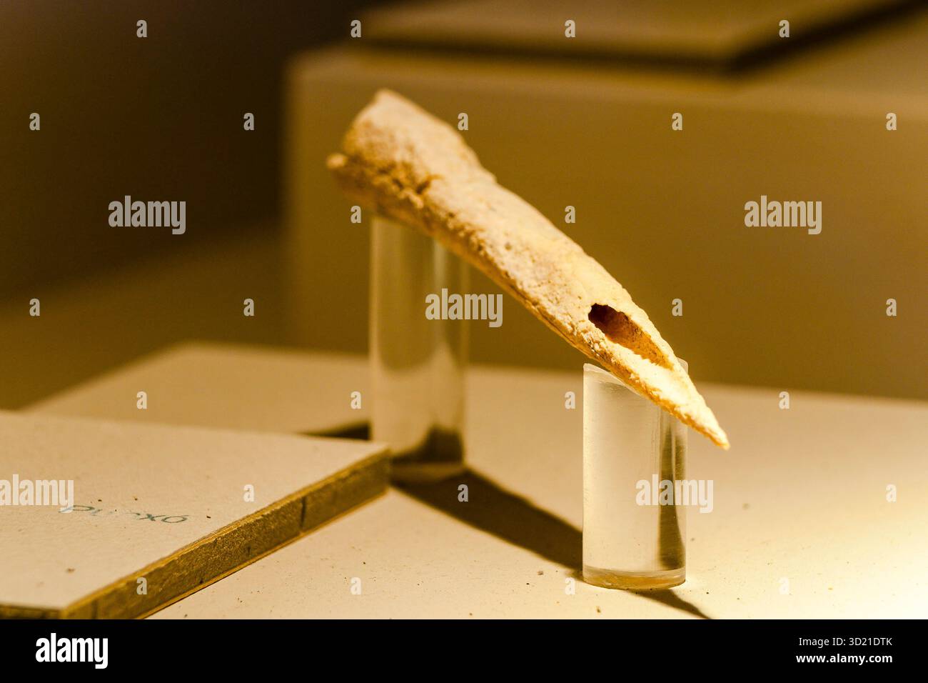 Bone awl, Son Fornes Archaeological Museum, Talayotic period room (1300 ...