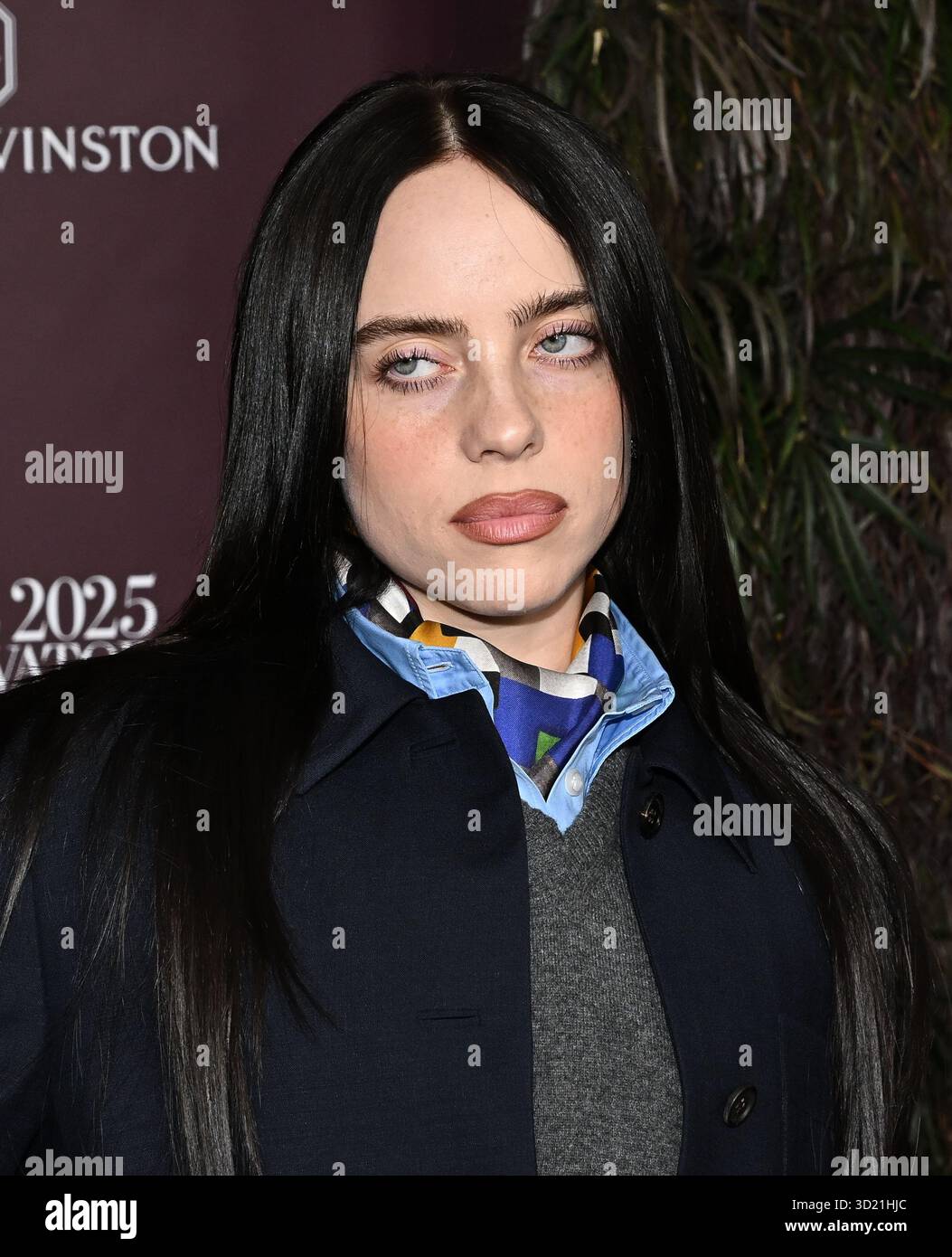 Billie Eilish attends the WSJ. Magazine Innovator Awards at The Museum ...