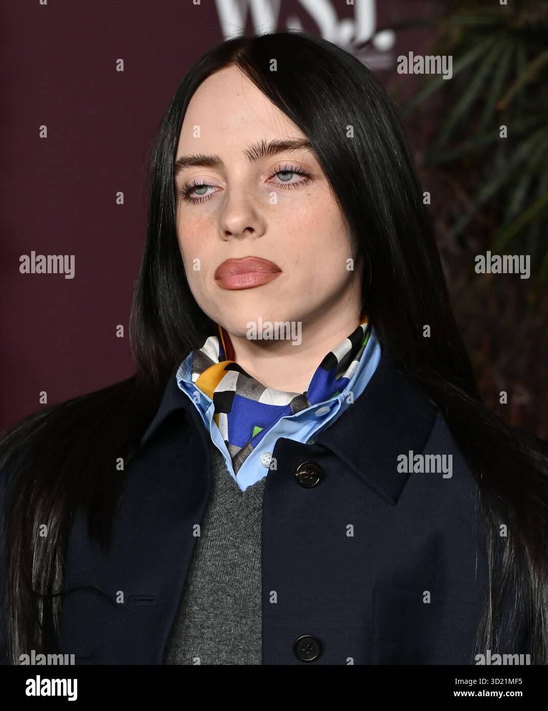 Billie Eilish attends the WSJ. Magazine Innovator Awards at The Museum ...
