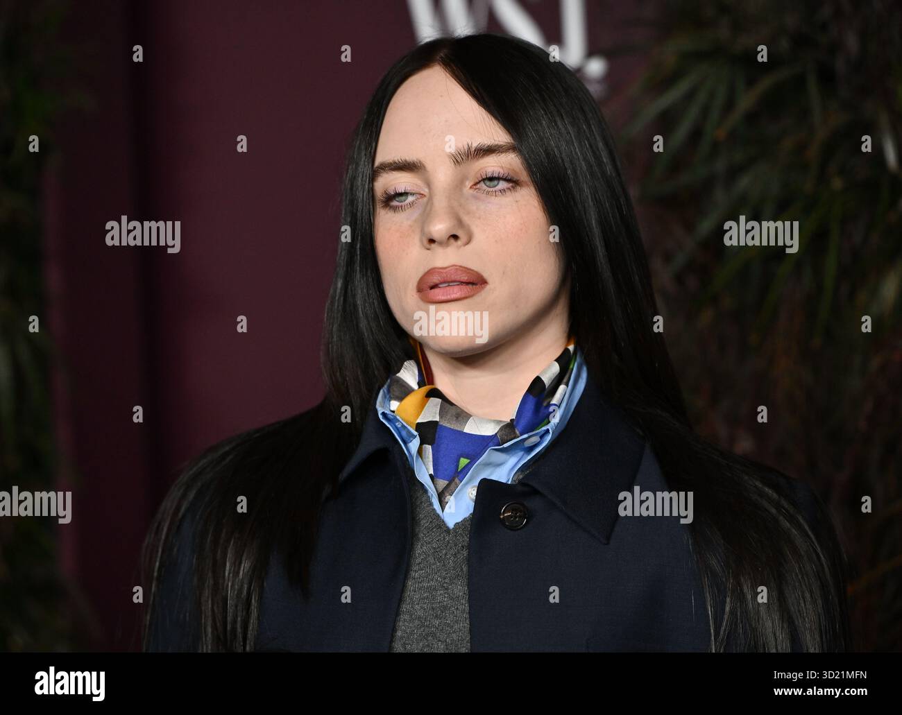 Billie Eilish attends the WSJ. Magazine Innovator Awards at The Museum ...