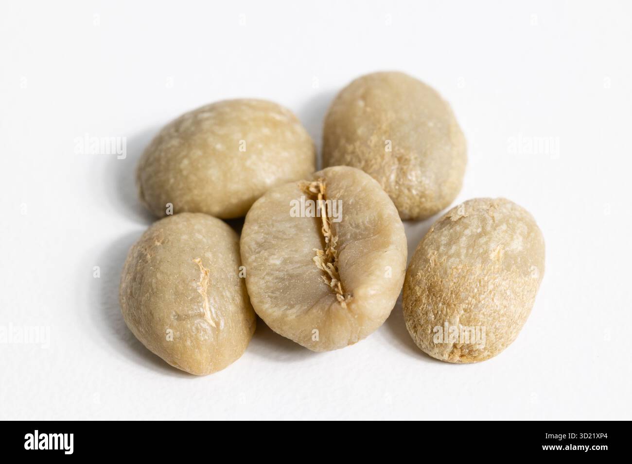 Beverage plant Cut Out Stock Images & Pictures - Alamy