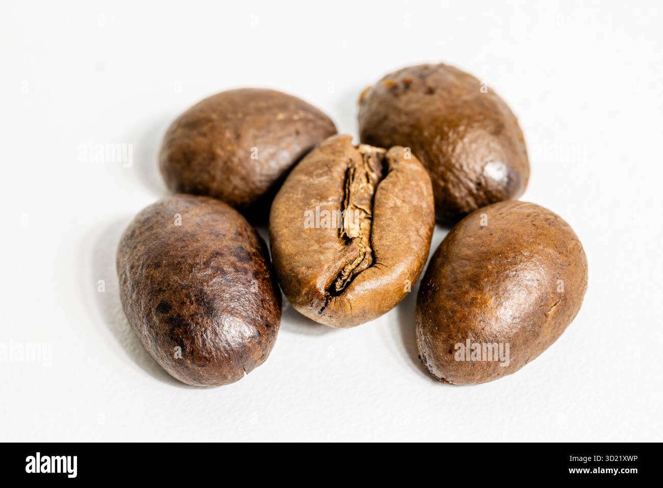 Fresh red coffee berry Cut Out Stock Images & Pictures - Alamy
