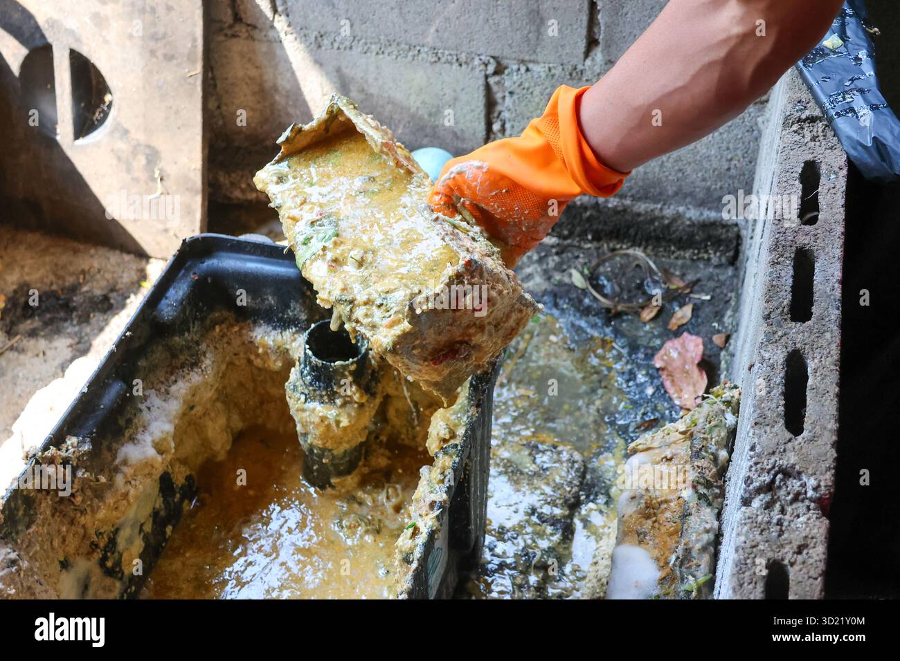 Grease traps from dirty debris being cleaned with a scoop are discarded ...