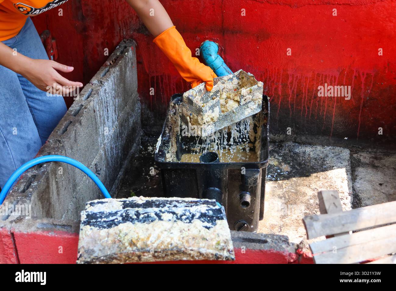 Grease traps from dirty debris being cleaned with a scoop are discarded ...